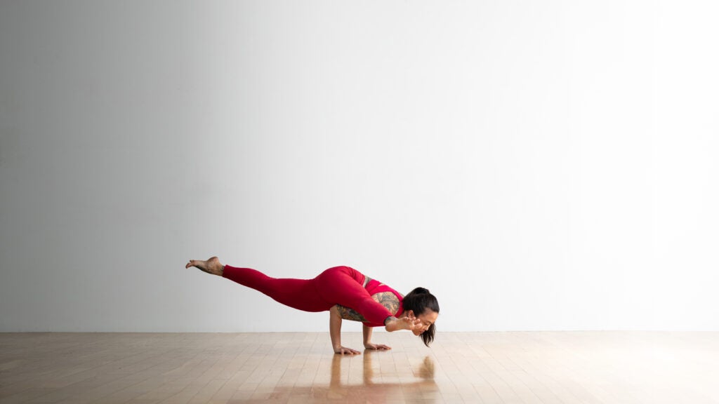 Pose Dedicated to the Sage Koundinya II (Eka Pada Koundinyanasana II)