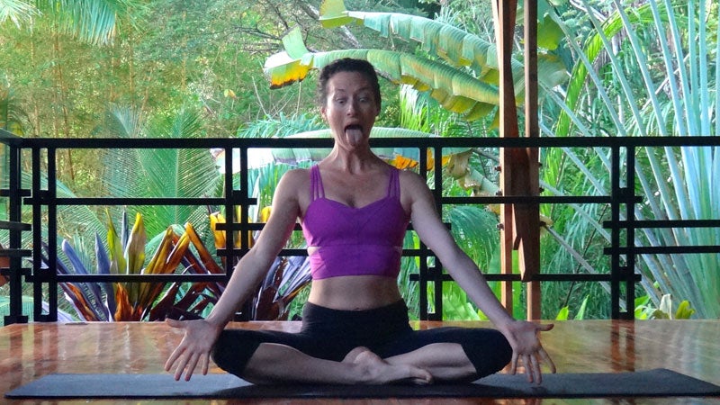 Lion Pose (Simhasana)