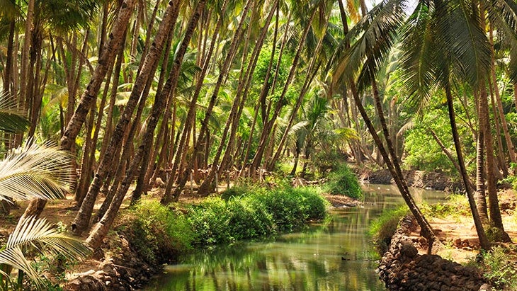 One Man's Journey to Find His Guru