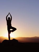 The Branches of the Yoga Tree | Yoga Philosophy | Yoga for Beginners