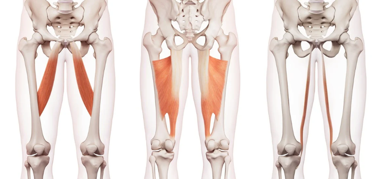 5 Best Adductor Exercises for Your Hips