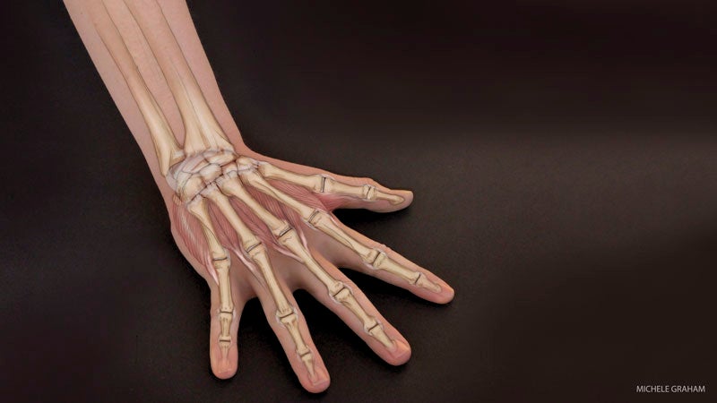 Wrist Anatomy: Protect Your Wrists in Yoga Practice | Prevent Injury