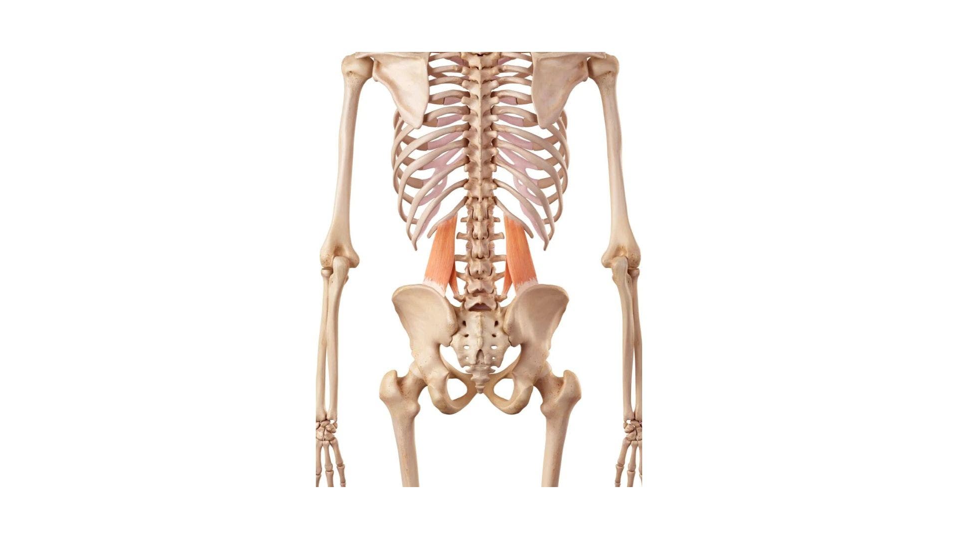 7 QL Stretches to Relieve Your Tight Back