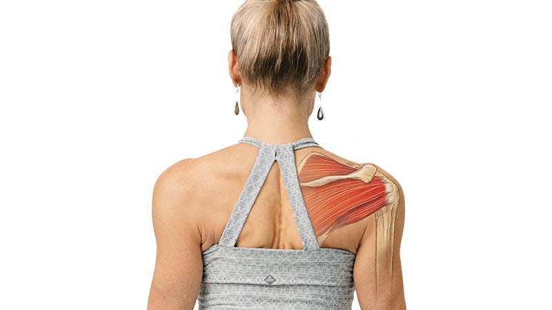 What to Know About the Shoulder Girdle