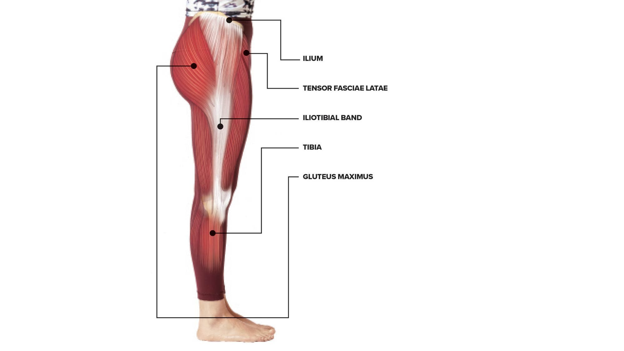 What Is the IT Band? | Yoga Poses for the IT Band