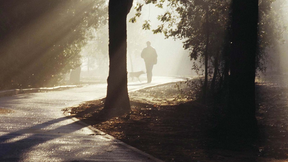 The Beginner's Guide to Common Mantras