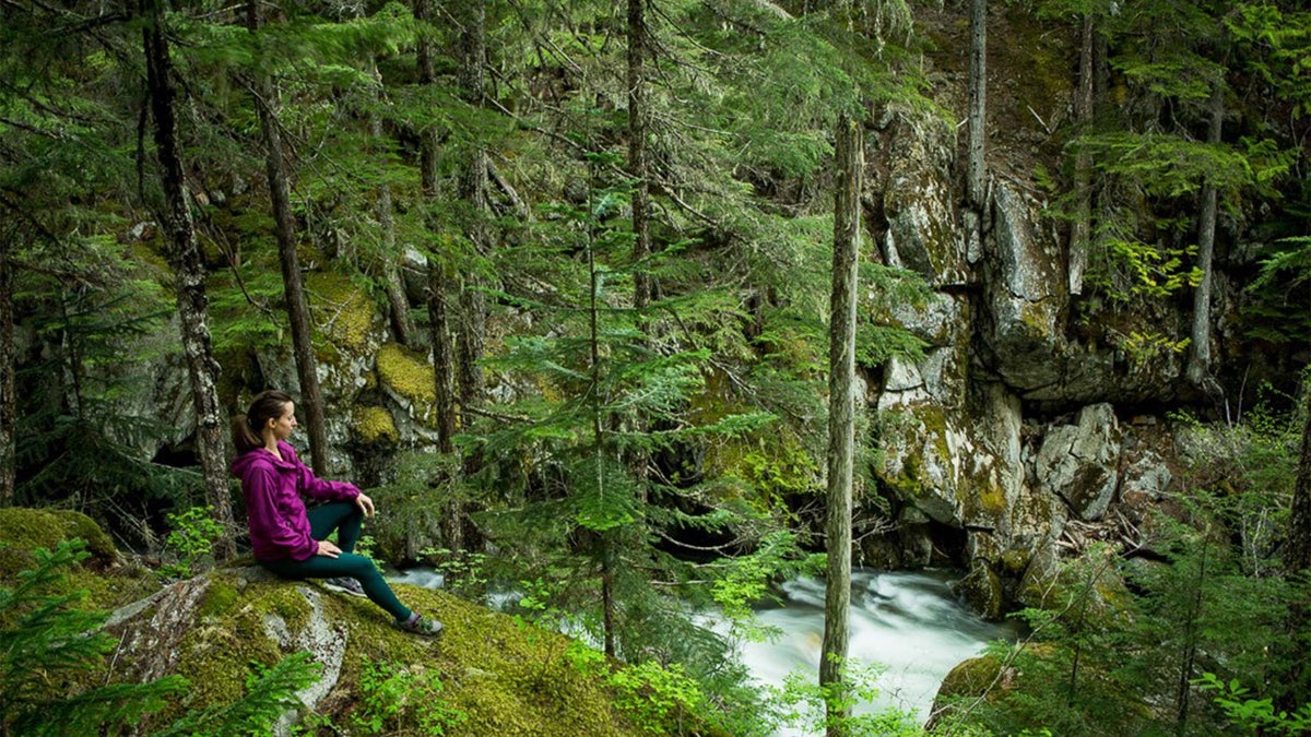 This Sensory Forest Immersion Class Is Sold Out at Wanderlust: Here's ...