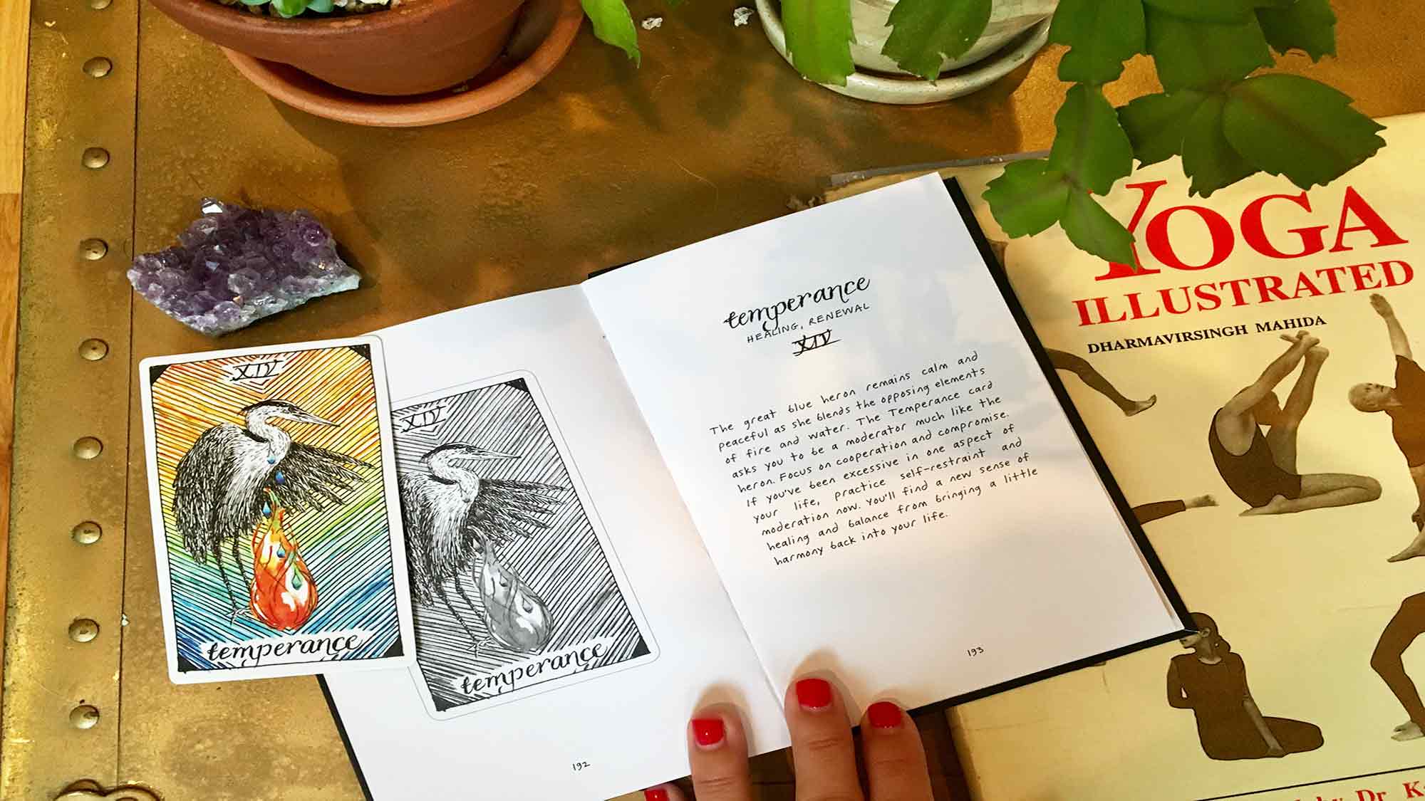 Yoga and Tarot Cards I How One Month of Pulling a Tarot Card Every Day ...
