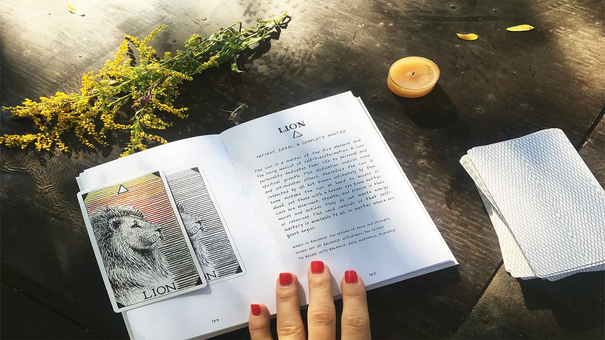 Yoga and Tarot Cards I How One Month of Pulling a Tarot Card Every Day ...