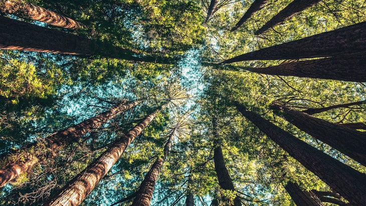 6 Simple Strategies for Quieting the Mind