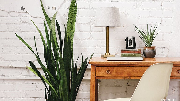 15 Small Things That Will Instantly Boost Your Mood - Yoga Journal