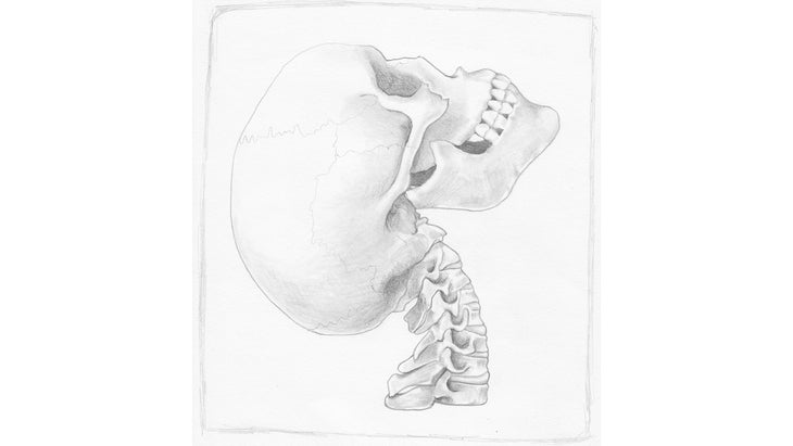 Anatomy: Know Your Neck, Plus 4 Stretches to Ease Neck Pain - Yoga Journal