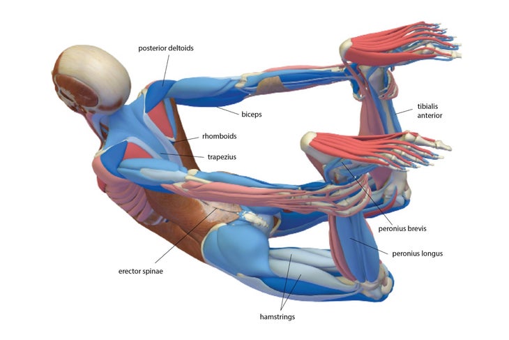 Bow Pose: How to Practice Dhanurasana - Yoga Journal