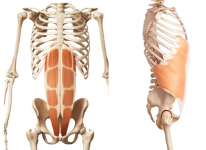 These 7 Yoga Poses Double as Lower Abdominal Exercises