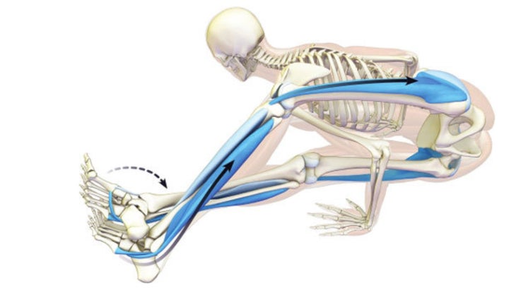 Astavakrasana 8 Poses To Astavakrasana — Karin Eisen Yoga – New
