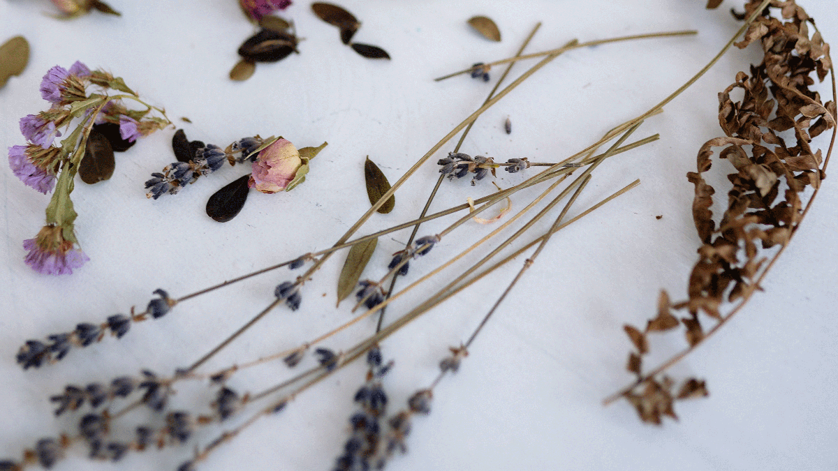 Flower Bath Ritual for the New Moon or Whenever You're Stressed