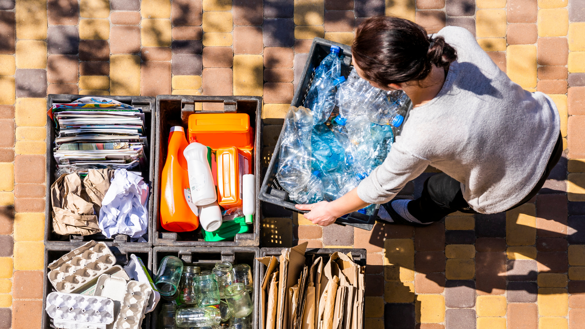 We’re Debunking Common “Facts” About Living an Eco-Friendly Life