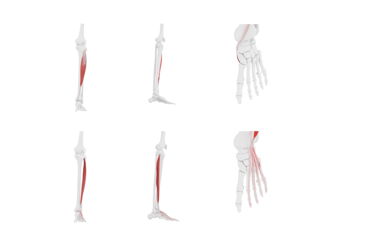 Essential Après-Ski Stretches for Your Aching Lower Legs