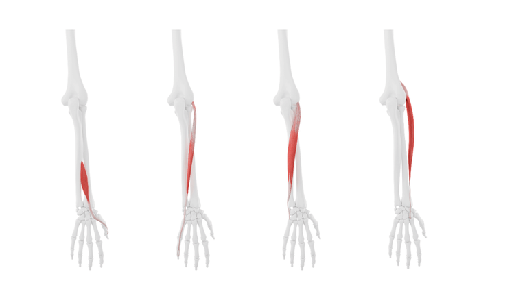 How to Practice Arm Balances Without Wrecking Your Wrists
