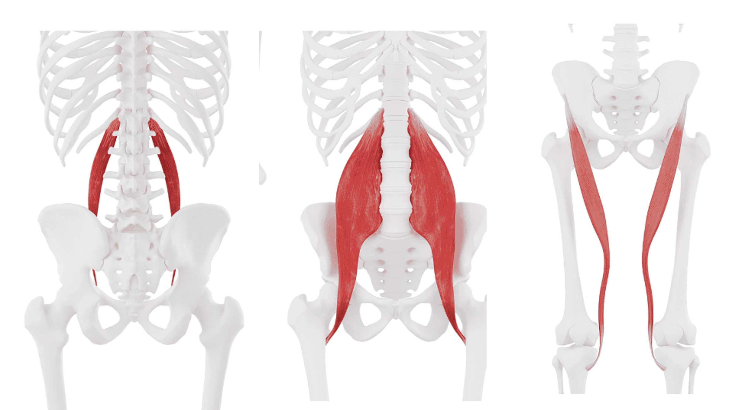 Hip Flexor Stretches That Yoga Teachers Swear By