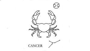 What Your Rising Sign in Astrology Means