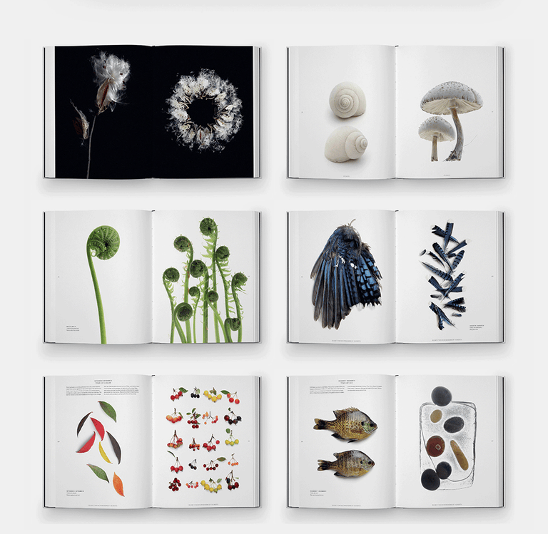Photographer Mary Jo Hoffman Explains the Art of Daily Ritual