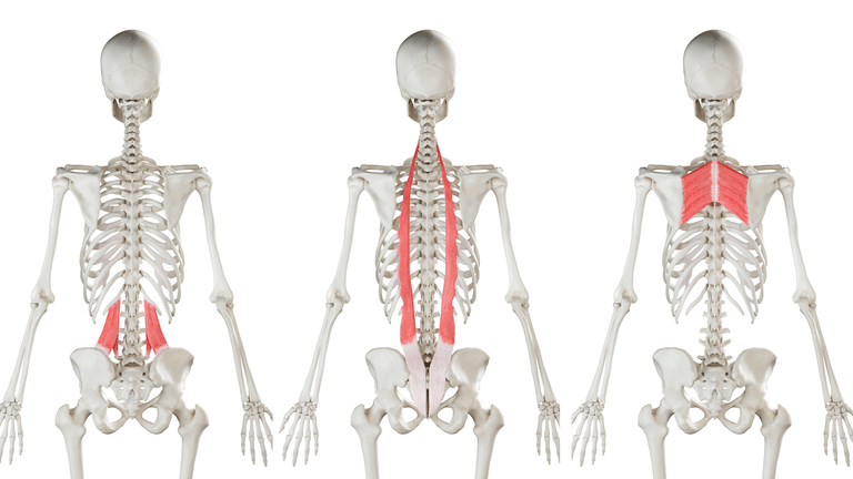 The Pros and Cons of Every Type of Yoga Backbends