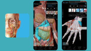 3 Anatomy Apps That Help You Know Your Body Better