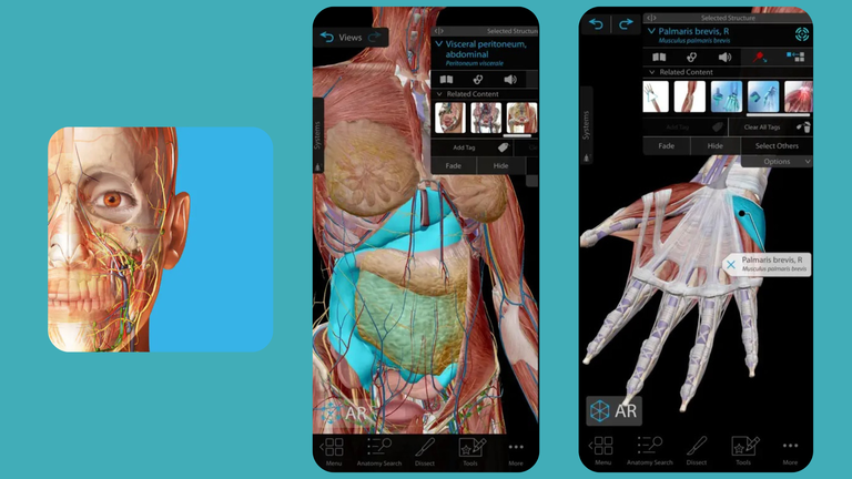 3 Anatomy Apps That Help You Know Your Body Better