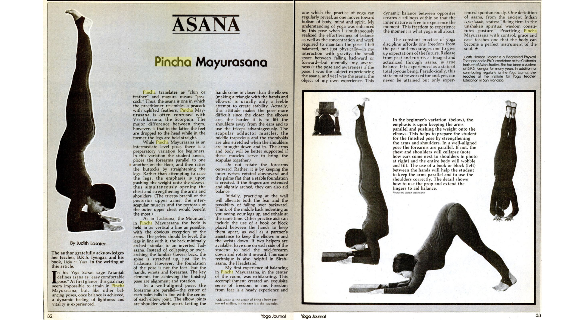 Pincha Mayurasana (Forearm Stand) Redefines Balance. Here's How.